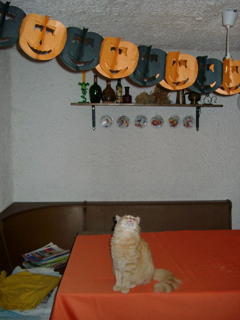 Happy Halloween Computer Games Happy Halloween Computer Games